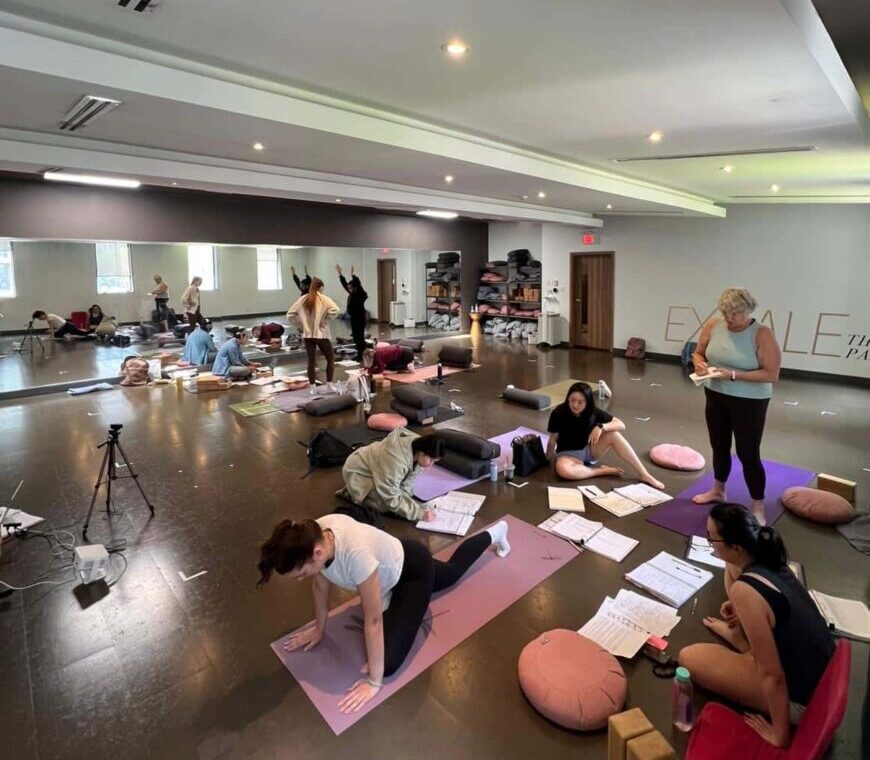 Yoga Teacher Training - Yoga Tree